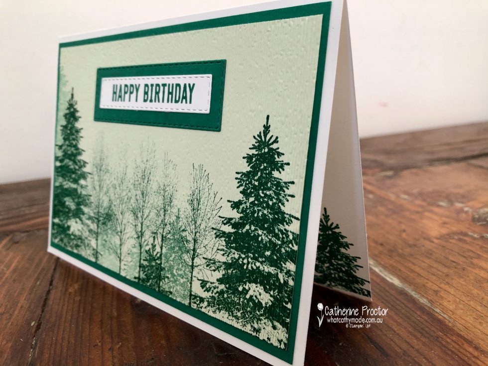 Stampin' Up! Shaded Spruce - Week 46 AWH Colour Creations Showcase - What Cathy Made