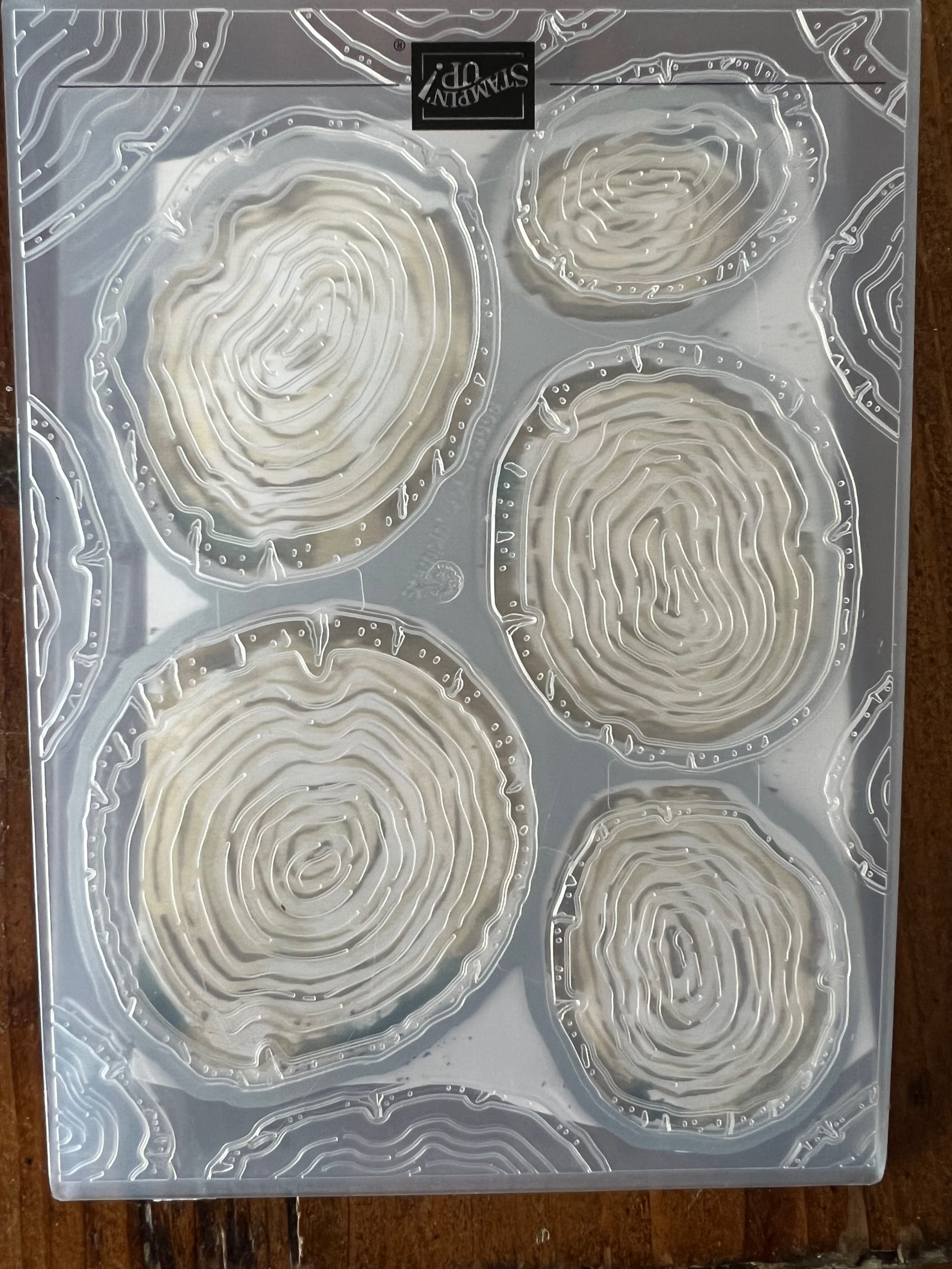All-in-one Tree Rings Hybrid Embossing Folder Archives - What Cathy Made