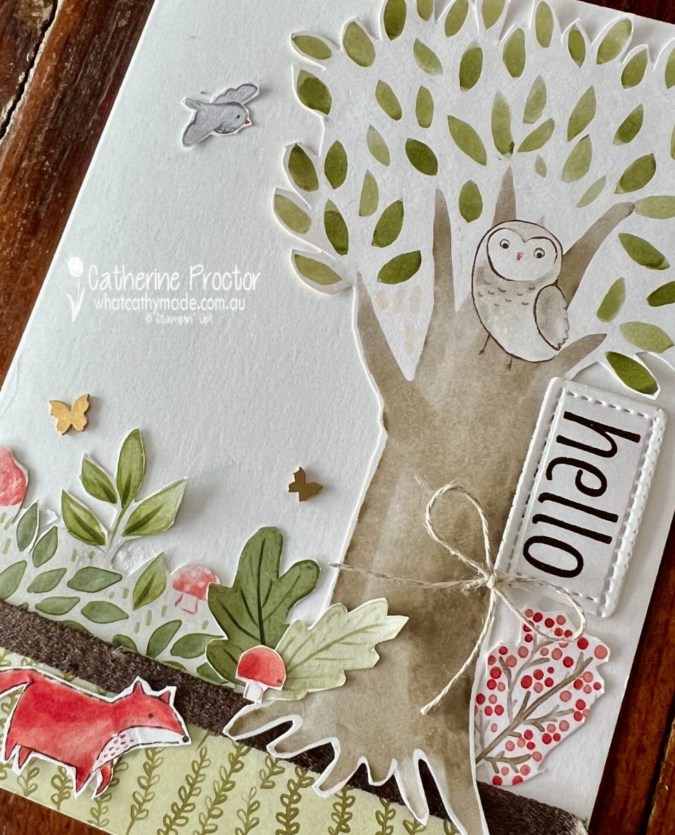 Stampin' Up! AWH Colour Creations Soft Suede Card - What Cathy Made