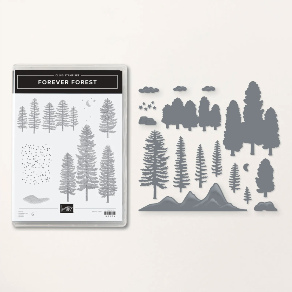 Forever Forest Crumb Cake Father's Day Card - What Cathy Made