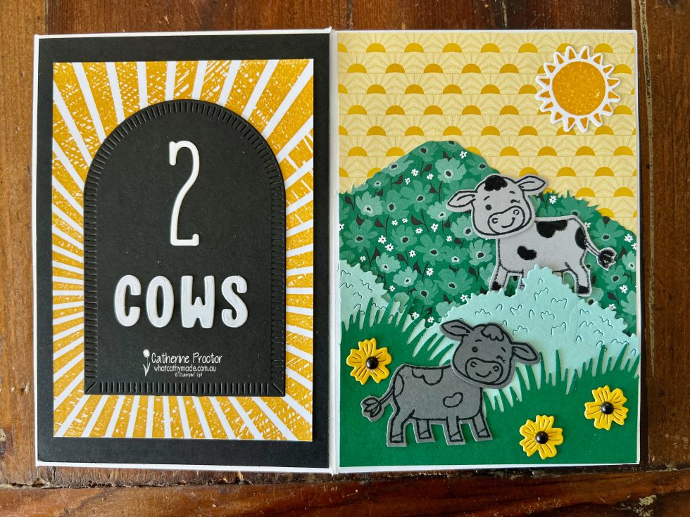 Pool Party Sunny Days DSP envelope counting book - What Cathy Made