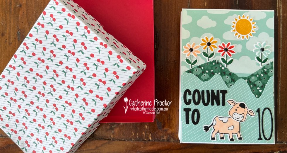 Pool Party Sunny Days DSP envelope counting book - What Cathy Made